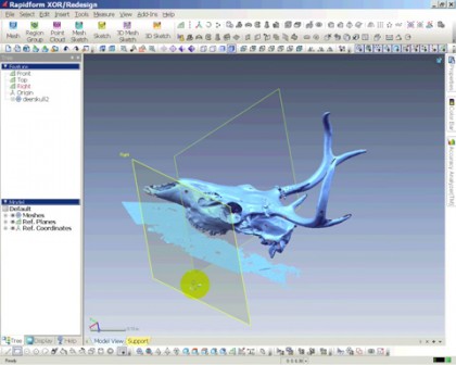 3D Scan Editing in Rapidform | Chris Reilly