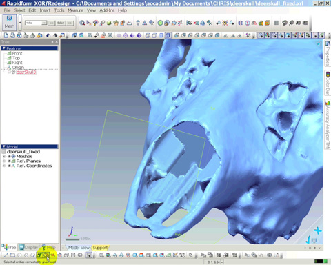3D Scan Editing in Rapidform | Chris Reilly