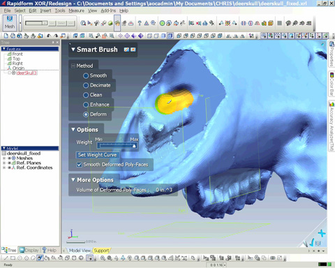 3D Scan Editing in Rapidform | Chris Reilly
